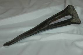 Dinopedia - L'encyclopédie des dinosaures - Fiche dinosaure - Diplodocus