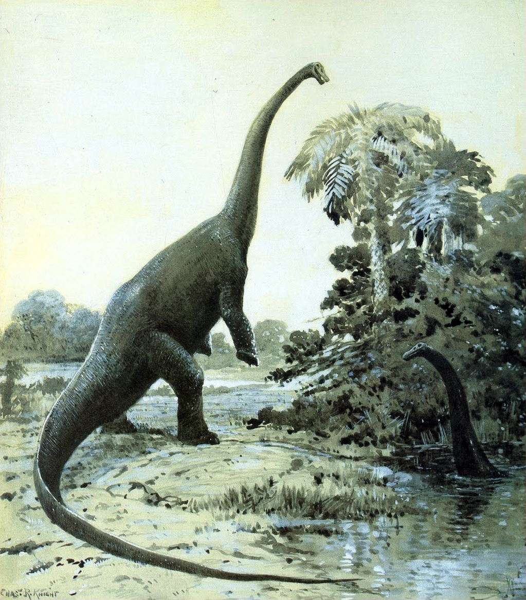 Dinopedia - L'encyclopédie des dinosaures - Fiche dinosaure - Diplodocus
